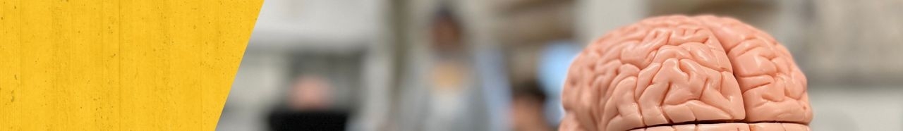 Neuroscience Minor: Northern Kentucky University, Greater Cincinnati Region