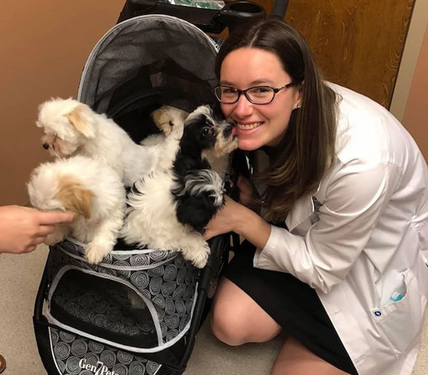 Pre-Veterinary: Northern Kentucky University, Greater Cincinnati Region