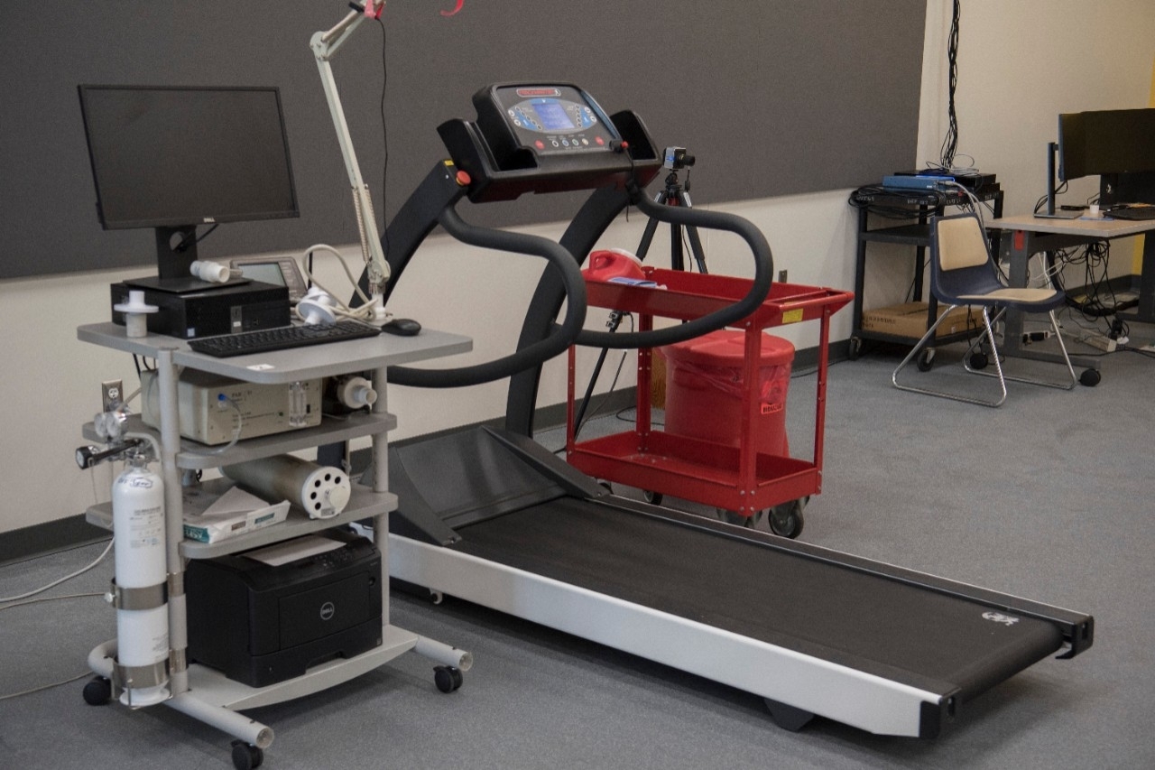 School of Kinesiology, Counseling & Rehab Science: Northern Kentucky ...